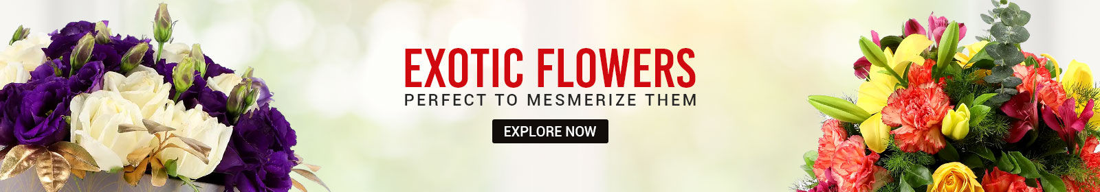 Flower Delivery Online | India's No.1 Florist - Ferns N Petals