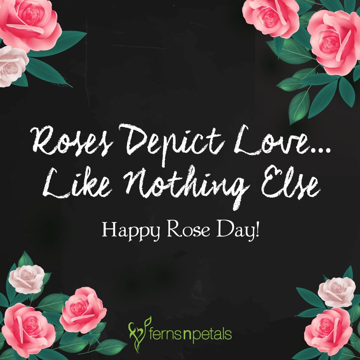 Beautiful Rose Flowers With Love Quotes | Best Flower Site