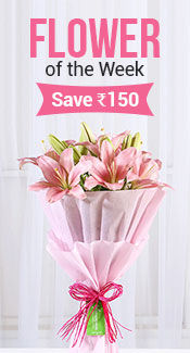 Happy Propose Day Quotes | Romantic Propose Day Messages and Wishes ...