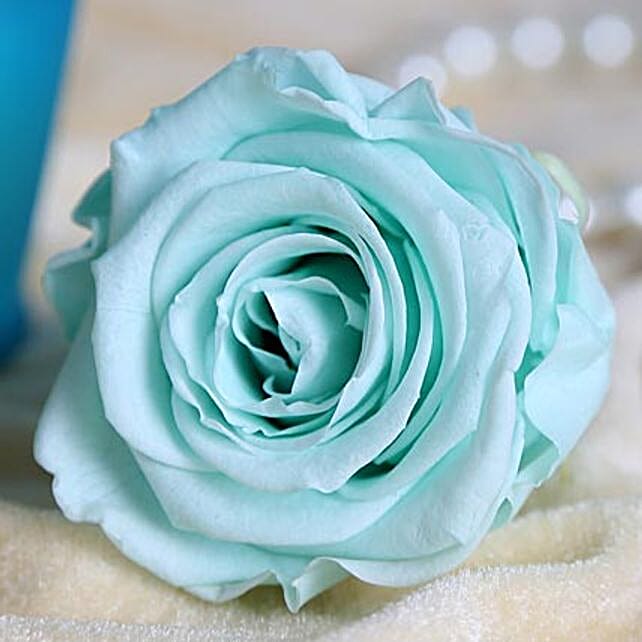 Forever Sky Blue Rose | Gift Forever Sky Blue Rose - Ferns N Petals